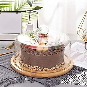 Cake Stand with Dome, Display Cake Stand Serving Platter Snack Tray Round Dessert Plate Tray for Baking Wedding Party (21 * 21 * 15.7cm)