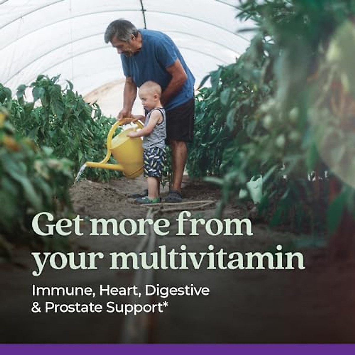 New Chapter Men's Multivitamin 50 plus for Brain, Heart, Digestive, Prostate & Immune Support with 20+ Nutrients + Astaxanthin - Every Man's One Daily 55+, Gentle on The Stomach - 72 ct