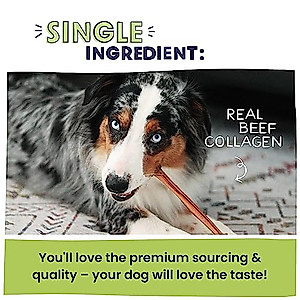 Pawstruck All Natural 11-12" Roasted Collagen Sticks for Dogs - Low Odor & Long Lasting Alternative to Bully Sticks and Rawhide Chews - Grain Free, Single Ingredient & Vet Approved - 5 Pack