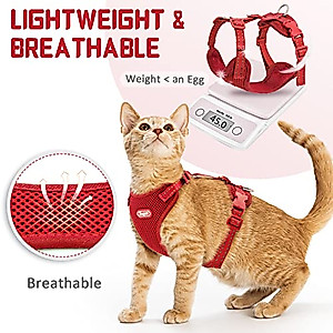 Supet Cat Harness and Leash for Walking Escape Proof, Adjustable Harness for Cats, Easy Control Small Cat Harness for Medium Large Kitten and Dogs
