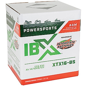 Interstate Batteries YTX16-BS 12V 14Ah Powersports Battery 230CCA AGM Rechargeable Replacement for ATVs, Motorcycles, Scooters (XTX16-BS)