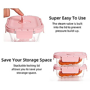 10 Pack Glass Meal Prep Containers with Lids and Steam Vent, Leak-Proof Food Storage Containers with Airtight Lids, Dishwasher / Microwave / Oven / Freezer Safe Glass Containers for Leftovers (Pink)