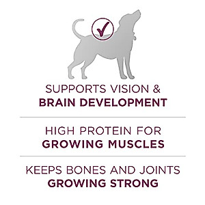 Purina ONE Plus Healthy Puppy Formula High Protein Natural Dry Puppy Food with added vitamins, minerals and nutrients - 31.1 lb. Bag