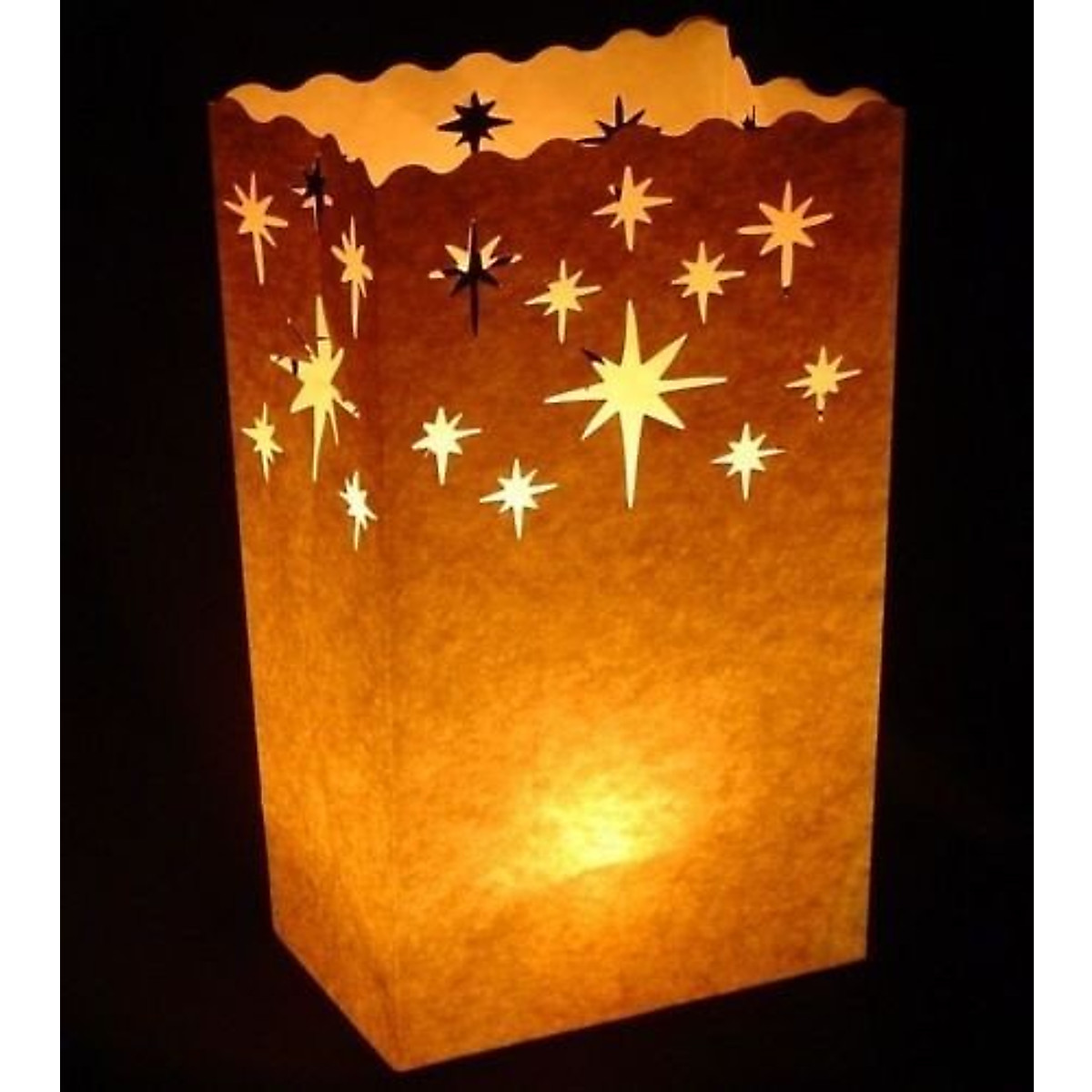 Since White Luminary Bags - 20 Count - Stars Design - Wedding, Reception, Party and Event Decor - Flame Resistant Paper - Luminaria (Stars)