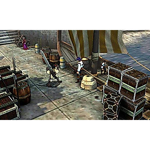 Heroes of Ruin - Nintendo 3DS (Renewed)