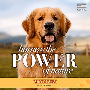 Burt's Bees for Pets Naturally Derived Oatmeal Conditioner with Colloidal Oat Flour & Honey - Dog Oatmeal Shampoo - Cruelty Free, Made in the USA - 10 Oz - 2 Pack