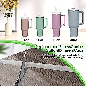 8Pcs Replacement Straws for Stanley Cup,Reusable Plastic Straws with 2pcs Cleaning Brush,Clear Straw Stanley Cup Accessories for 40 oz 30 oz Cup Tumbler