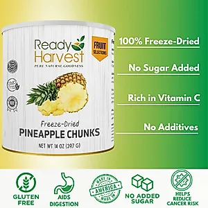Ready Harvest Freeze Dried Pineapples Whole Foods for Emergency Food Storage, Camping Supplies, and Survival Kits | Sealed Fresh in #10 Can | 30 Year Shelf Life | 1 Can