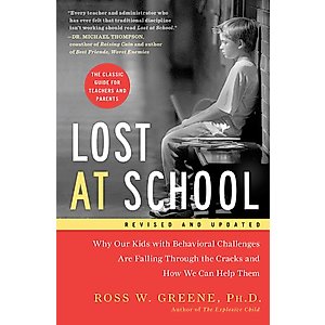 Lost at School: Why Our Kids with Behavioral Challenges are Falling Through the Cracks and How We Can Help Them