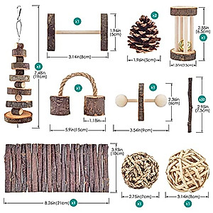 ERKOON 11 Pack Chinchillas Chew Toys, Toys Accessories for Teeth Care, Natural Apple Wood Ladder Bell Roller for Russian Hamster Gerbils Rats Guinea Pigs