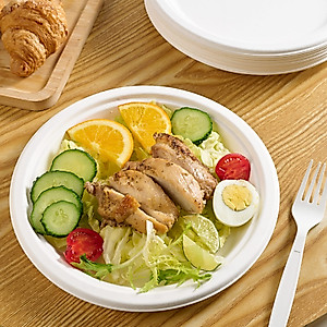 Vplus 150 Pack Paper Plates 9 inch 100% Compostable Plates Heavy-Duty Disposable Paper Plates Bagasse Natural Biodegradable Eco-Friendly Sugarcane Plates（White）