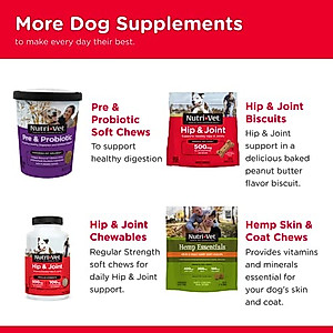 Nutri-Vet Hip & Joint Regular Strength Soft Chew for Dogs, 5.3 OZ, 60-Count