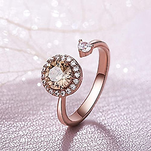Fonsalette Fidget Ring Birthstone Rings for Women Thumb Rings Fidget Ring Women Rose Gold Ring Spinner Ring Anxiety Ring for Women Cubic Zirconia Ring