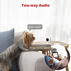 SwitchBot Security Indoor Camera, Motion Detection for Baby Monitor 1080P Smart Surveillance WiFi(2.4Ghz) Pet Camera for Home Security with Night Vision, Two-Way Audio, Works with Alexa