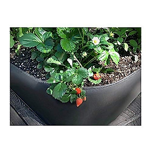 3 ft X 6 ft Victory 8 EZ-GRO Med Rectangle Raised Garden Bed Just Right Size AeroFlow Proprietary Fabric Grow Your OWN