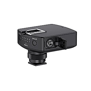 Sony Radio Control Wireless Receiver, Black (FAWRR1)