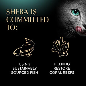 Sheba Perfect Portions Wet Cat Food Cuts in Gravy With Sustainable Salmon, 2.6 oz., Twin-Pack Trays (24 Count, 48 Servings)