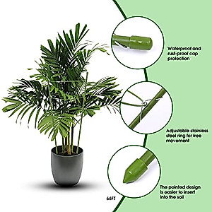 4 Pack Plant Support Tomato Cages for Garden, 18 Inches Small Tomato Cages and Supports with Adjustable Rings for Garden Pots, Plant Stakes Tomato Trellis Rings for Climbing Plants