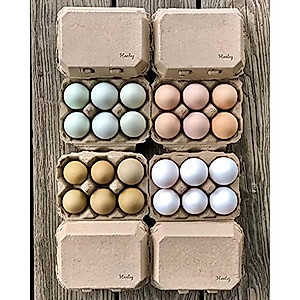 Half Dozen Egg Cartons- Henlay Blank Flat Top Six Pack (20)