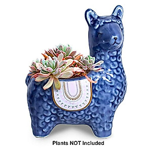 Dahlia Cute Llama Ceramic Succulent Planter/Plant Pot/Flower Pot/Bonsai Pot, Blue