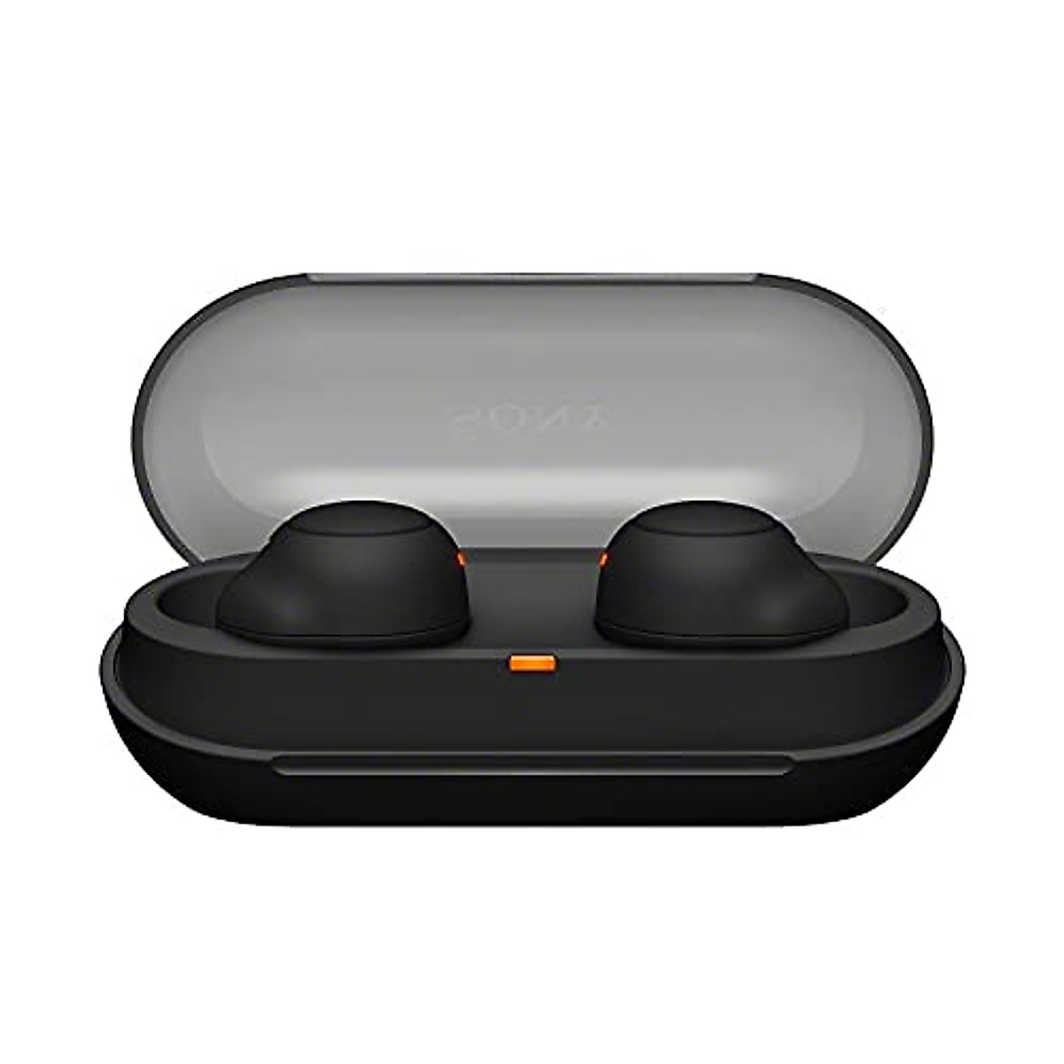 Sony WF-C500 Truly Wireless in-Ear Bluetooth Earbud Headphones (Black) with Earbud Case Bundle (2 Items)