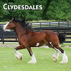 Clydesdales | 2023 12 x 24 Inch Monthly Square Wall Calendar | BrownTrout | Animals Horses