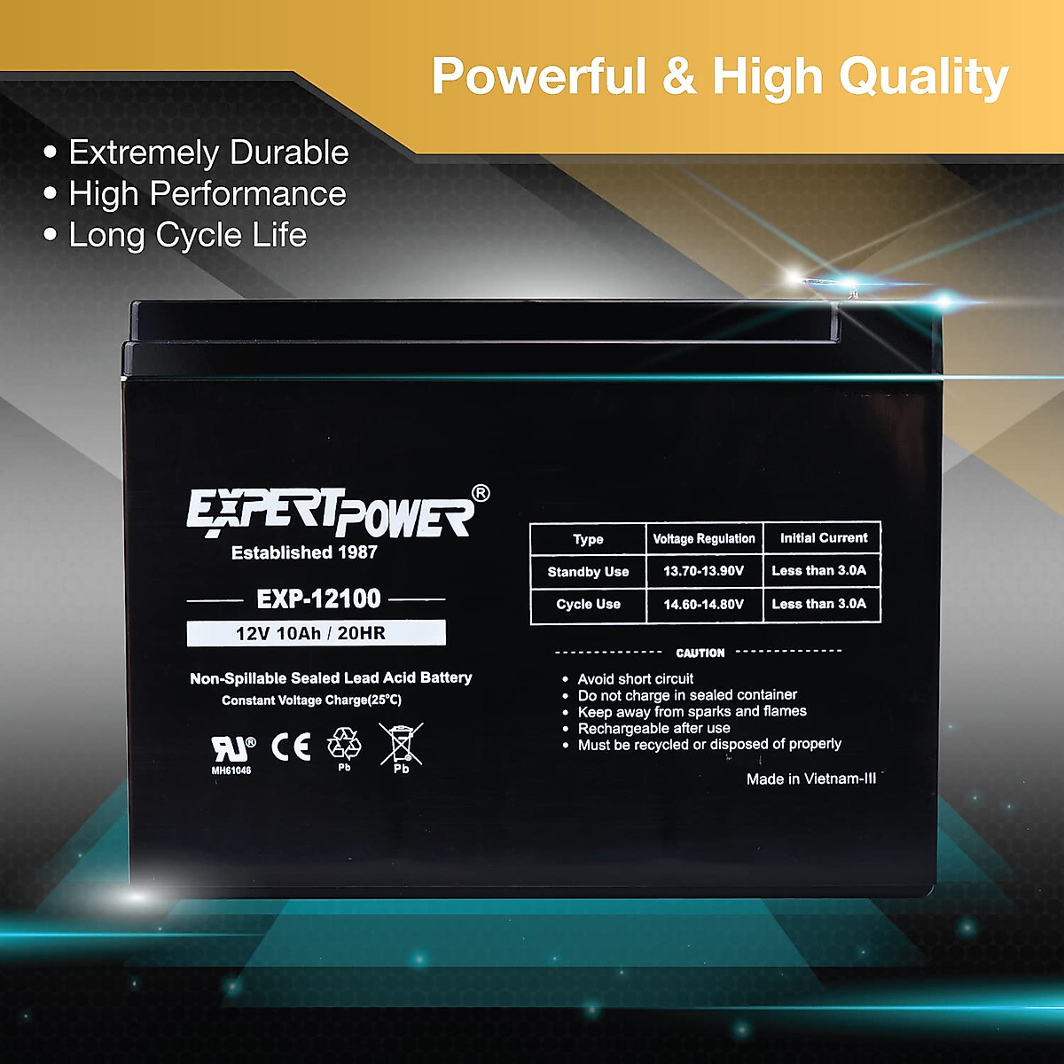 12v 10Ah SLA Rechargeable Battery - F2 Terminals