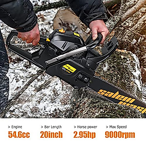 SALEM MASTER Gas Chainsaw 20-Inch Powered Chain Saws 54.6CC 5518S Petrol Chainsaw 2-Cycle for Trees and Wood Cutting