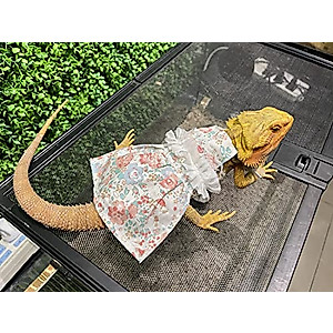 Lizard Dress for Bearded Dragon - Handmade Cotton Tutu Skirt with Lace Princess Sundress Halloween Costume Photo Cosplay Party for Reptile Lizard Bearded Dragon Crested Gecko Chameleon (M, Pink)