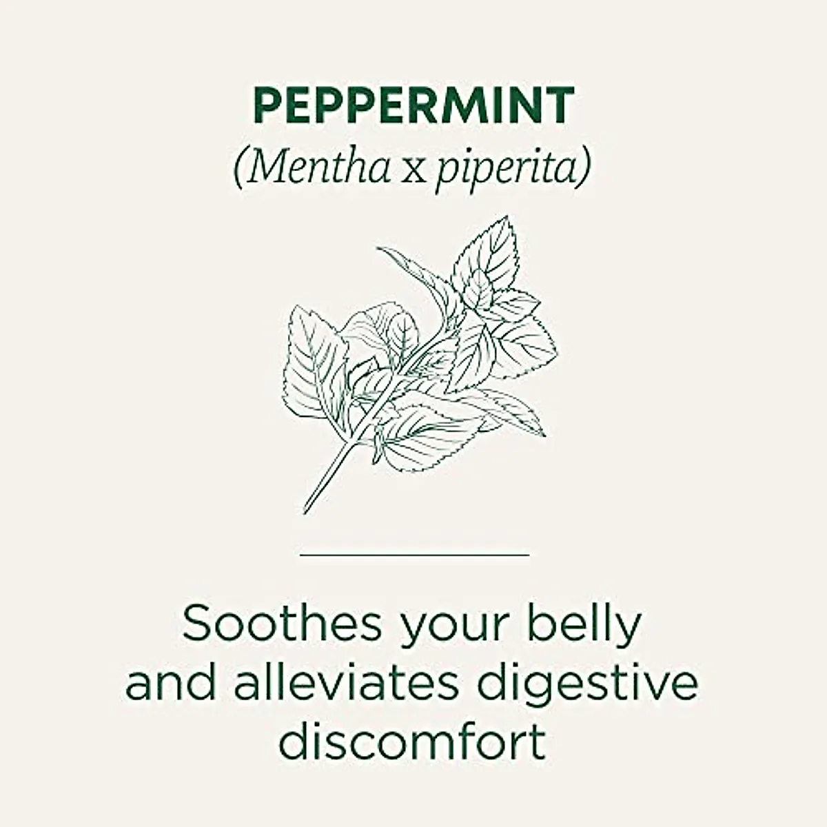 Traditional Medicinals Organic Peppermint Herbal Leaf Tea, Alleviates Digestive Discomfort, 16 Tea Bags (Pack of 6)