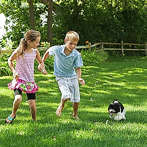 Purely Organic Products LLC 25 lb. Lawn Food Fertilizer