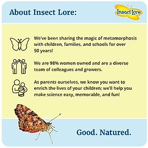 Insect Lore Two Cups of Caterpillars - Life Science & STEM Education