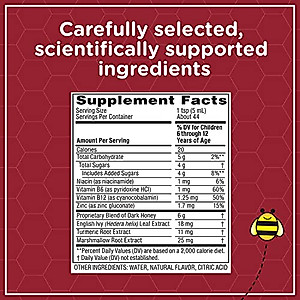 Zarbee's Kids All-in-One Daytime Cough for Children 6-12 with Dark Honey, Turmeric, B-Vitamins & Zinc, #1 Pediatrician Recommended, Drug & Alcohol-Free, Grape Flavor, 8FL Oz