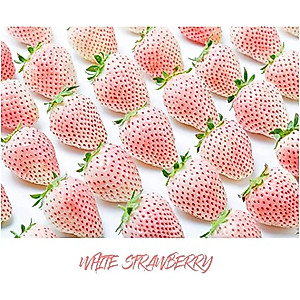 400+ Mix Strawberry Seeds for Planting - Heirloom Non-GMO Red Yellow Blue White Climbing Strawberry - Everbearing Fruit Plant Home Garden Sweet and Delicious