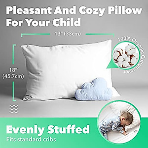 Celeep Polyester Toddler Pillows Set, 13x18 Inches - Perfect Size - Soft Organic Toddler Bedding - Kids Pillows for Sleeping & Nap Time - Vaccum Sealed Small Pillow, White, 2 Count (Pack of 1)