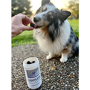 Kinetic Vet Complete Soft Chews 120 [Misc.]