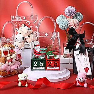 17 Pieces Clear PVC Present Bags with Handles Reusable Clear Plastic Favors Bags Transparent Retail Shopping Bags for Wedding Birthday Baby Shower Party Treats Goodie Merchandise 5.9 x 7.87 x 2.8 Inch