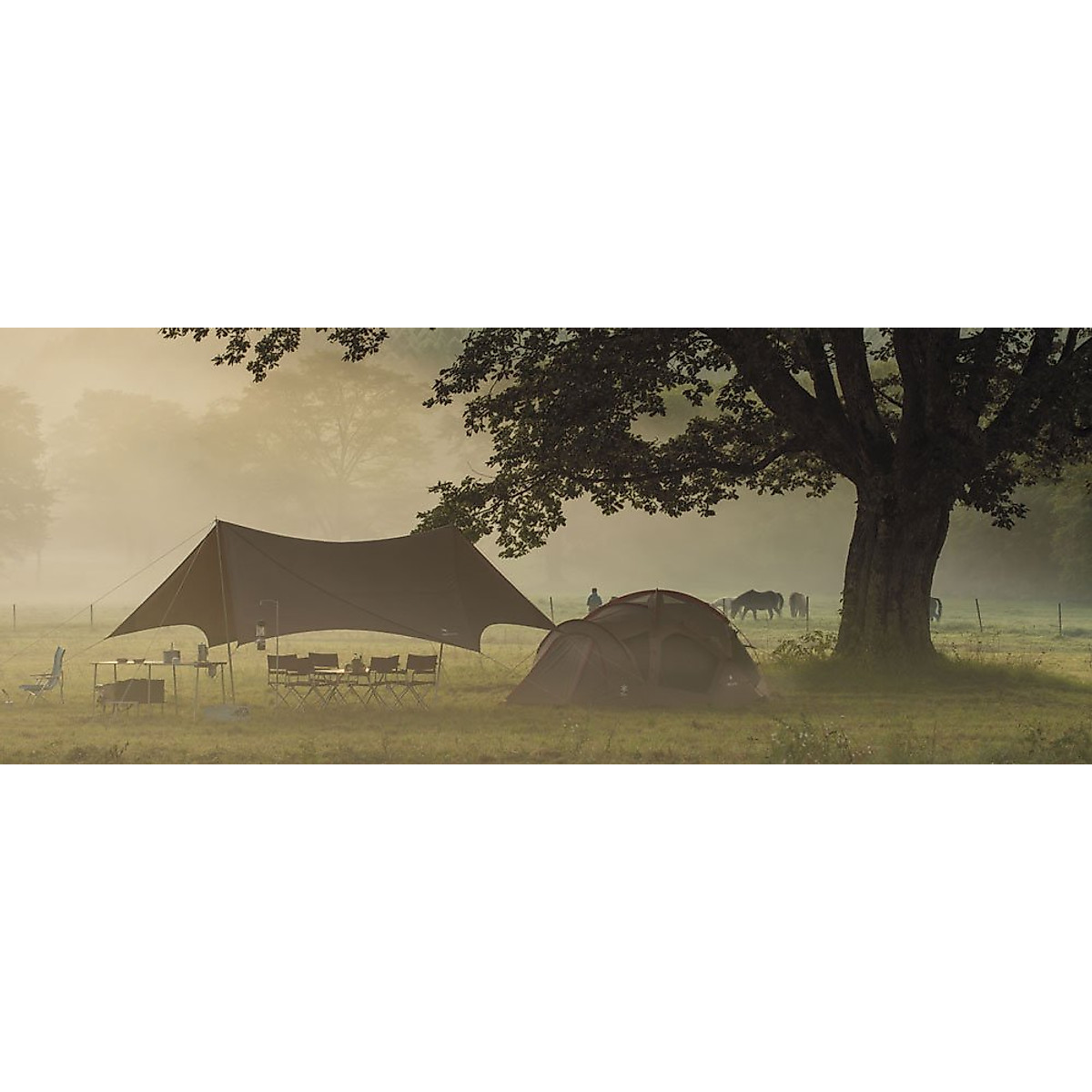 HD Tarp Shield Hexa Evo Pro.