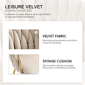 Nrizc Velvet Dining Chairs Set of 4, Woven Upholstered Dining Chairs with Gold Metal Legs, Modern Accent Chairs for Living Room, Dining Room, Kitchen