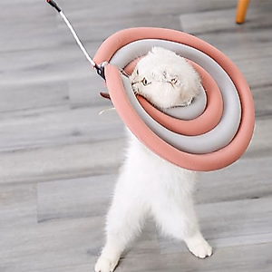 PASNMKvn Soft Pet Recovery Collar Dog for Cats Protective Cone After Collars Biting Neck Collar for Dog Cats