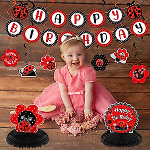 Ladybug Fancy Party Decoration Kit - Cute Birthday Banner, Honeycomb Centerpiece, Hanging Swirls for Girls Birthday Baby Shower Party Supplies