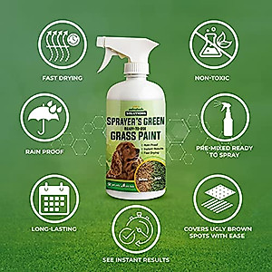 PetraMax Green Grass Paint for Lawn, Ready-To-Use Green Grass Lawn Spray & Dog Spot Repair, Lawn Paint, Spray on Grass, Green Lawn Spray, Green Grass Spray Paint for Lawn Yellow & Urine Spots - 32 oz