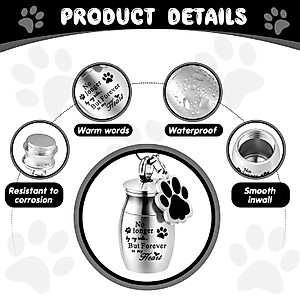 Sasylvia 4 Pcs Pet Urns Keychain Pet Ashes Keychain Dogs Keepsake Cremation Jewelry Stainless Steel Dog Paw Charm Ashes Holder with 4 Storage Bags for Cats Memorial