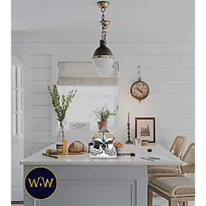 World of Wonders "Under the Seasoning" Ocean Harmony Series Elegant Starfish Napkin Holder Salt and Pepper (3 Piece Set) | Beach House Shabby Chic Sea Life Marine Nautical Home Decor Accent - 6.5"