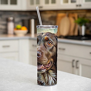 Boykin Spaniel Dog Illustration Skinny Tumbler 20oz with Straw Insulated Water Bottle Gift