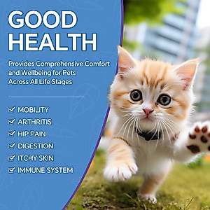 WEALLIN Hemp Oil for Dogs and Cats, Rich in Omega 3, 6, 9 and Organic Extract Helps Pets with Anxiety, Pain, Skin and Coat Health, Stress, Hip and Joint Support
