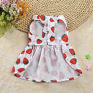 WEISHA Dog Dress 1PC Dog Floral Skirts Bow Princess Dress Dog Spring Summer Section Sweet Fresh Snap Style Puppy Clothes Pet Supplies(XL,Red)