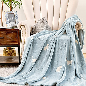 JINCHAN Dinosaur Glow in The Dark Blanket, Kids Throw Blanket for Boys and Girls Gift Green Lightweight Flannel Fleece Throw Blankets for Couch Bed Warm Soft Cozy Throw Winter Baby Blankets 40x60 Inch