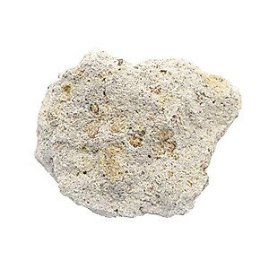 12PK Raw Volcanic Tuff, Igneous Rock Specimens - Approx. 1" - Geologist Selected & Hand Processed - Great for Science Classrooms - Class Pack - Eisco Labs