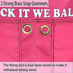 Seekamit Fuck It We Ball Flag Pink Funny College Dorm Flags for Girls Cool Girl Flags for Bedroom Room Wall Meme Flags Banner 3x5Ft Indoor Outdoor Garden Decor